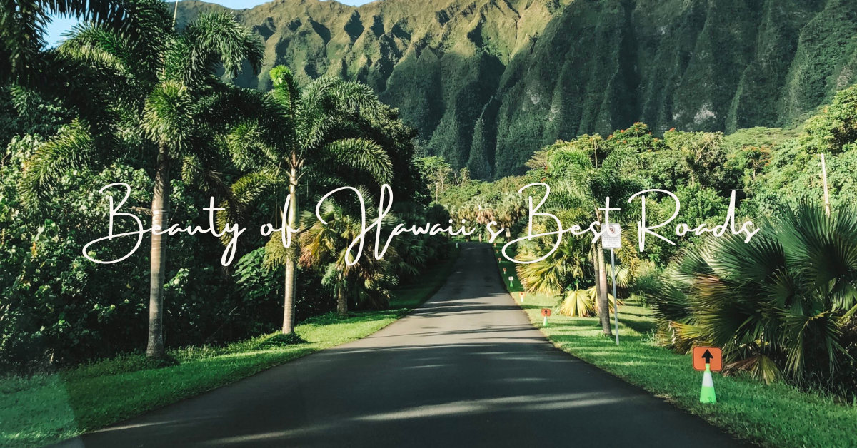 Driving Paradise: Discovering the Scenic Beauty of Hawaii's Best Roads ...